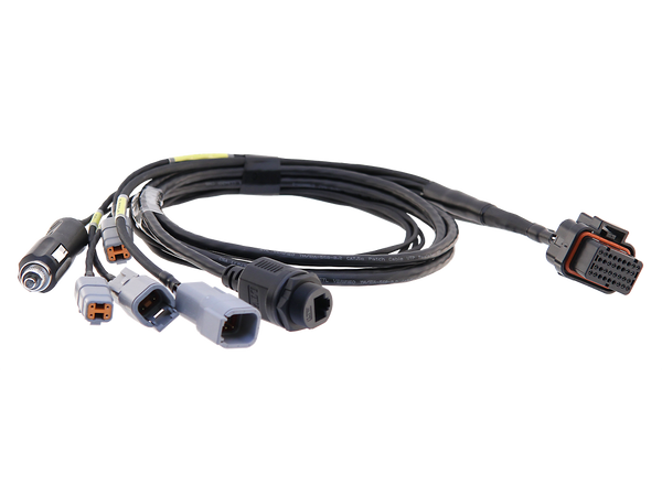 MoTeC C125 / C127 / C1212 Terminated Harness - Race Beat