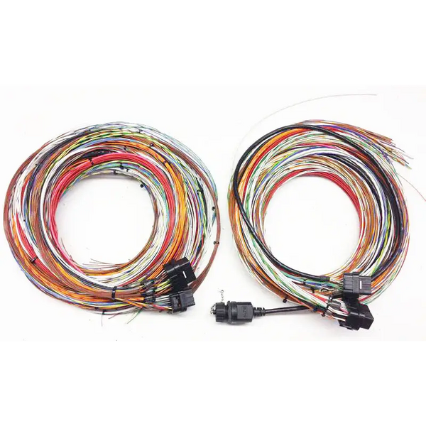 MOTEC M142 Basic Harness 10’ Unterm - Race Beat - Wiring Accessories